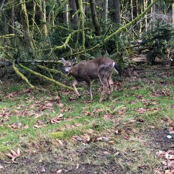 Photos of POINT DEFIANCE ZOO & AQUARIUM - Updated August 2024 - 1522 ...