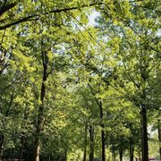 RAINTREE PARK - 22 Photos & 12 Reviews - 3775 John R Rd, Troy, MI - Yelp