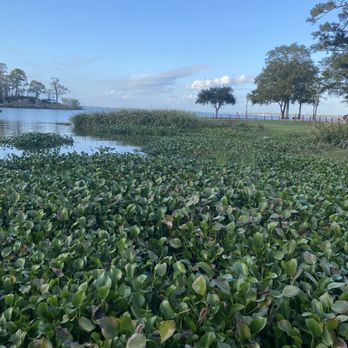 ALEXANDER DEUSSEN PARK - Updated July 2025 - 136 Photos & 55 Reviews ...