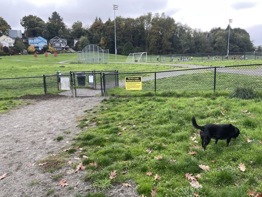 GENESEE PARK OFF-LEASH AREA - Updated October 2025 - 62 Photos & 50 ...