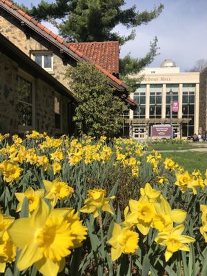 EASTERN UNIVERSITY - Updated December 2025 - 32 Photos & 13 Reviews ...