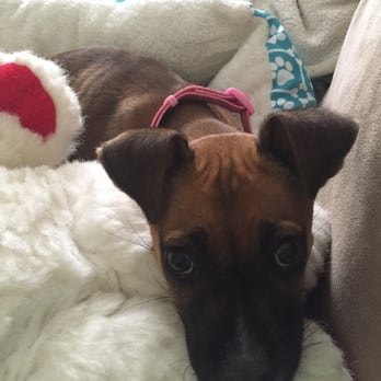 GREATER BIRMINGHAM HUMANE SOCIETY - Updated April 2025 - 50 Photos & 36 ...