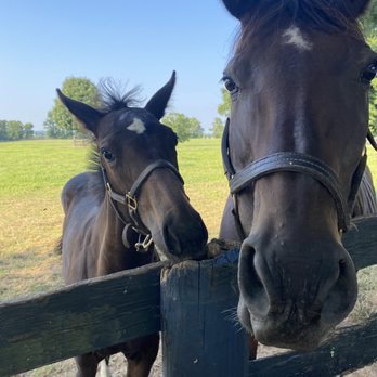 MILL RIDGE FARM - Updated October 2025 - 73 Photos & 16 Reviews - 2800 ...