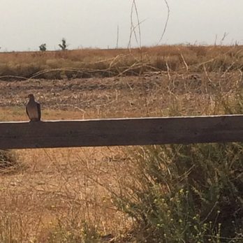 MERCED NATIONAL WILDLIFE REFUGE - Updated December 2025 - 119 Photos ...