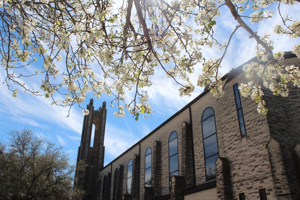 SOUTHWESTERN UNIVERSITY - Updated October 2025 - 33 Photos - 1001 E ...