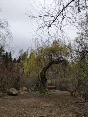 ROBINSWOOD PARK - Updated May 2026 - 52 Photos & 38 Reviews - 2430 ...