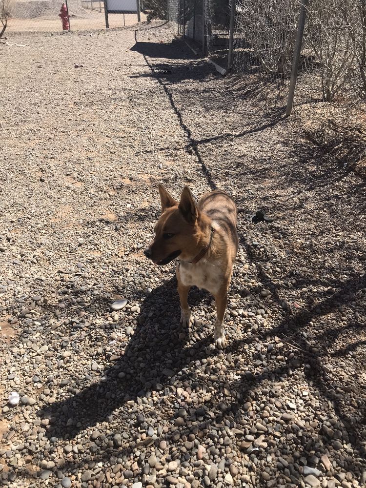 WATERMELON MOUNTAIN RANCH - Updated January 2026 - 52 Photos & 29 ...