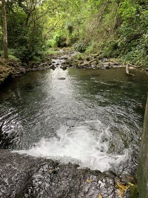 HAMAMA FALLS - Updated April 2024 - 38 Photos & 12 Reviews - 47-280 ...