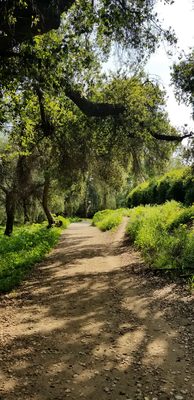 FULLERTON LOOP BIKE TRAIL - 176 Photos & 82 Reviews - Bikes - 1275 N ...