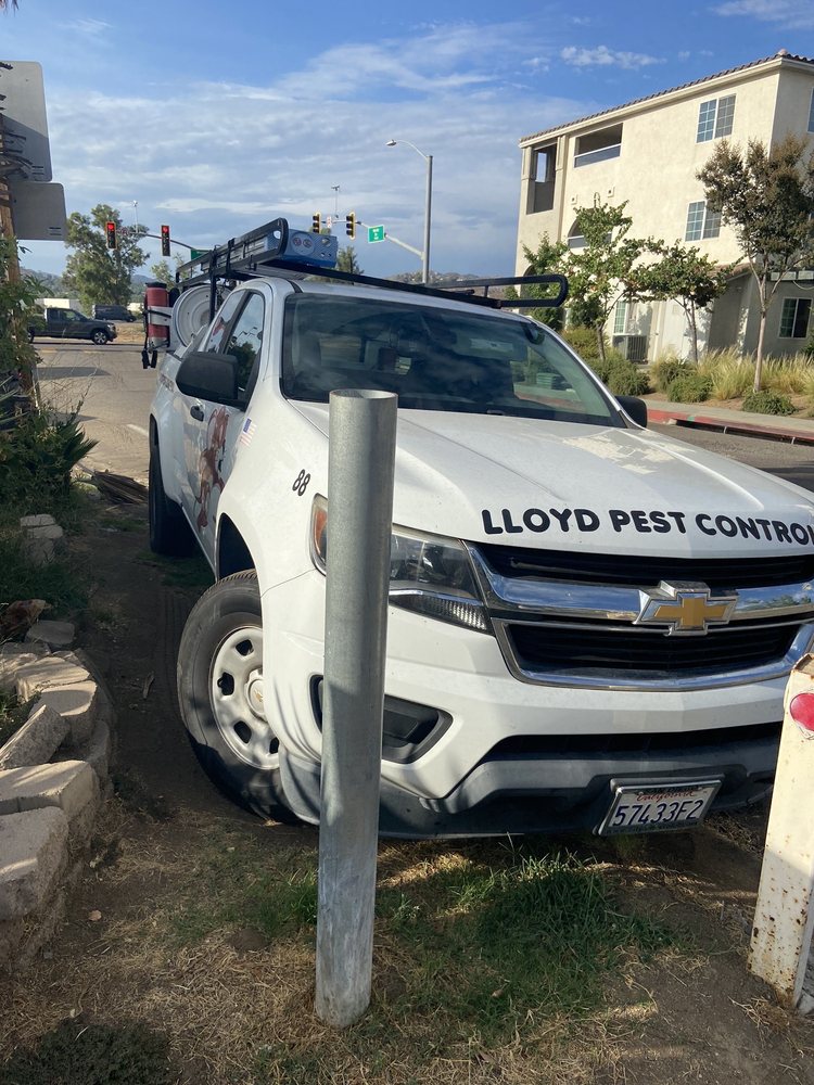 LLOYD PEST & TERMITE CONTROL - Updated January 2026 - 33 Photos & 52 ...