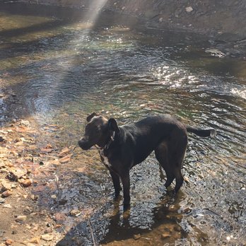 HIDDEN POND NATURE CENTER - Updated December 2025 - 74 Photos & 38 ...