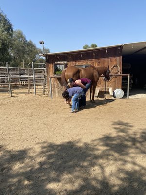 HEAVENS RANCH NORCO - Updated July 2025 - 95 Photos & 43 Reviews - 4036 ...