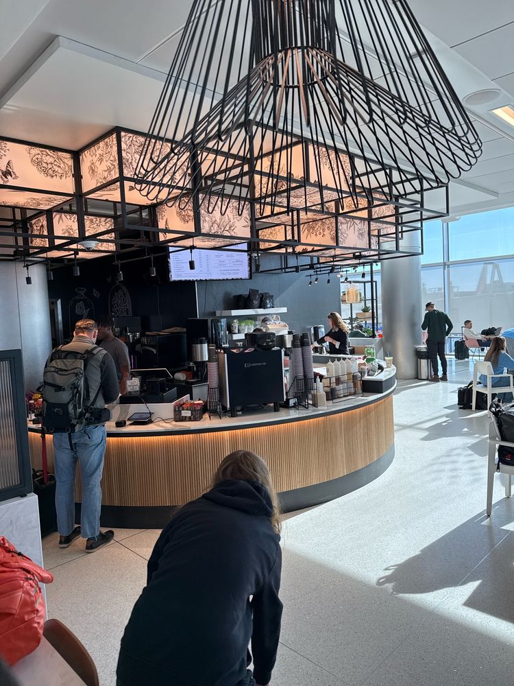 AVIANO COFFEE - Updated September 2025 - 27 Photos & 16 Reviews - 8500 ...