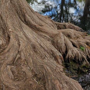 PICKRELL PARK - Updated August 2025 - 17 Photos - 200 Aero Ave, Schertz ...