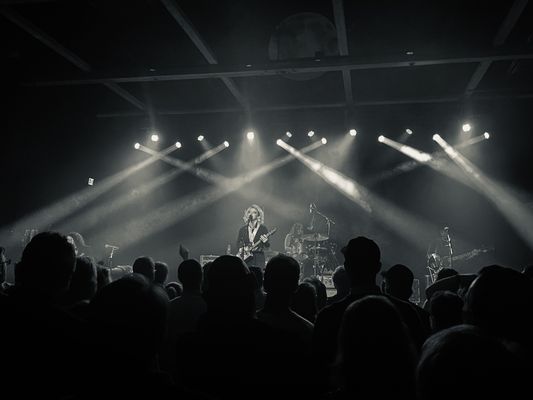 MUSIC FARM - 65 Photos & 80 Reviews - 32 Ann St, Charleston, South ...