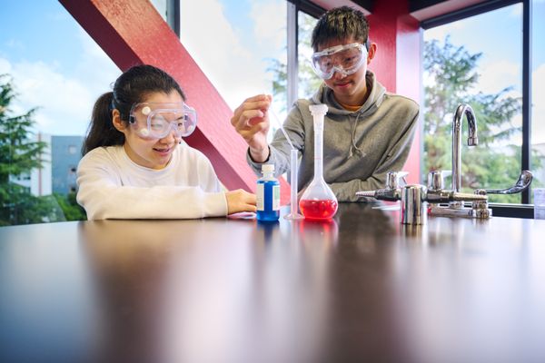 BASIS INDEPENDENT SILICON VALLEY - Updated December 2025 - 32 Photos ...