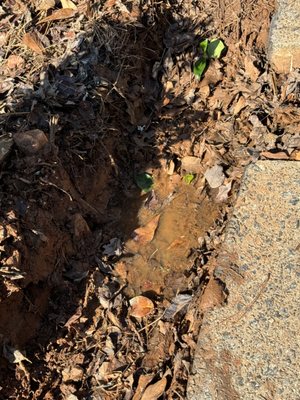 ARROW WASTE - Updated January 2026 - 27 Photos & 74 Reviews - 4039 ...