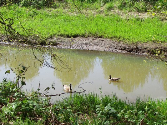 SPRINGBROOK TRAIL - Updated January 2026 - SW 27th St, Renton ...