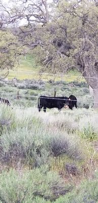 BRITE LAKE CAMPGROUND - Updated June 2025 - 53 Photos & 26 Reviews ...