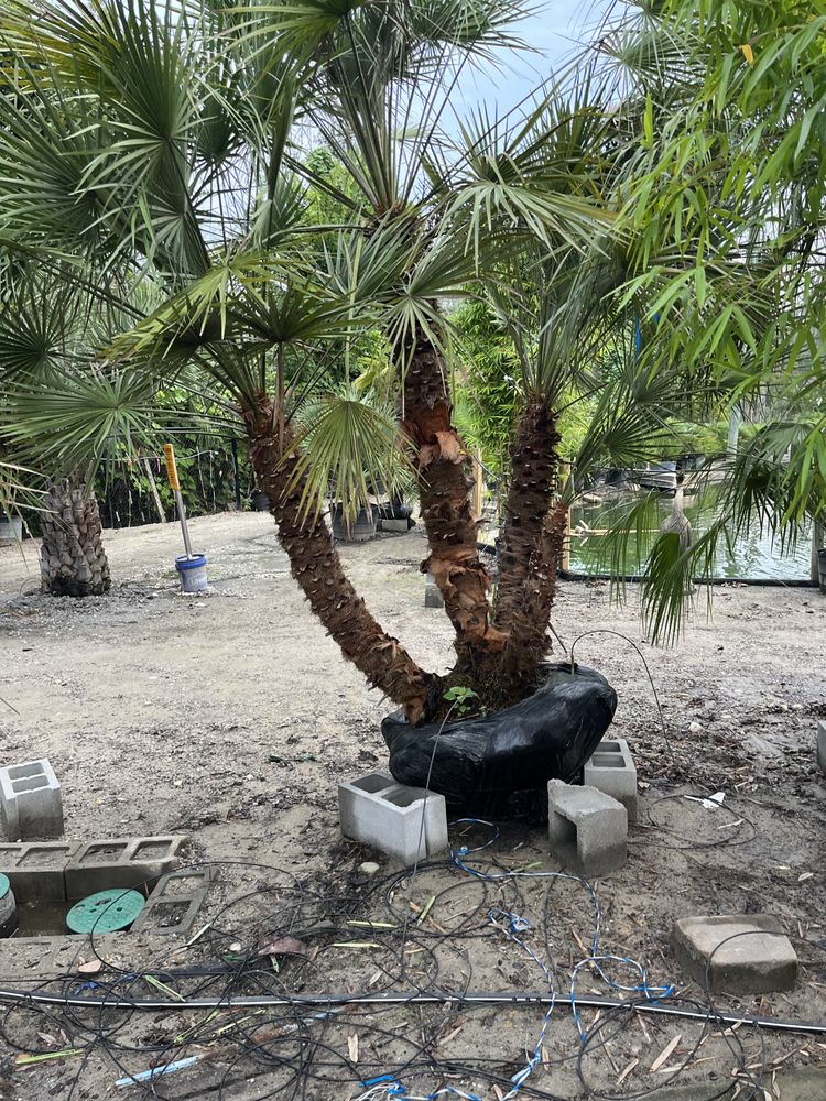 TAYLOR’S LANDSCAPE - Request a Quote - Myrtle Beach, South Carolina ...