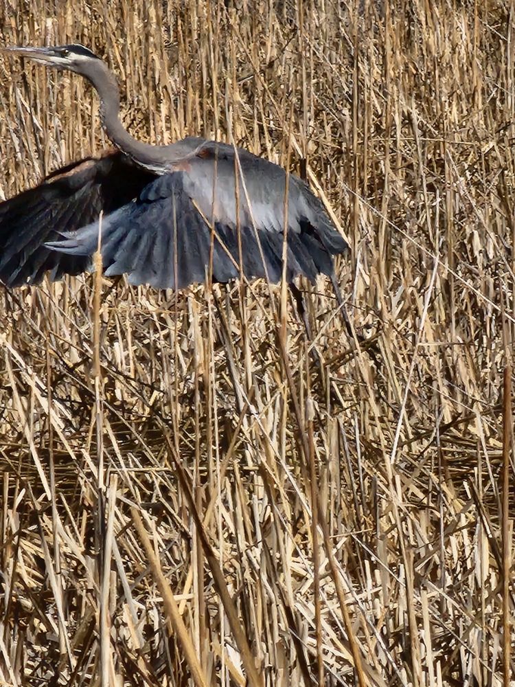 ERICA GREIF MEMORIAL BIKE TRAIL - Updated June 2025 - 11 Photos ...