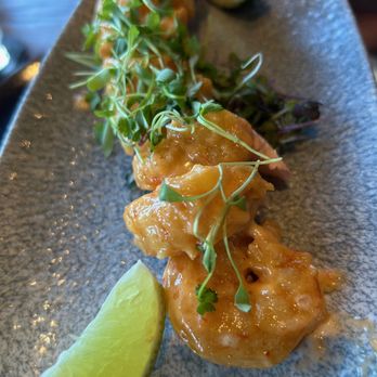 BASHI - Updated August 2025 - 807 Photos & 349 Reviews - 100 Terranea ...