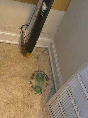 REDPOINT GAINESVILLE - Updated December 2025 - 43 Photos & 38 Reviews ...