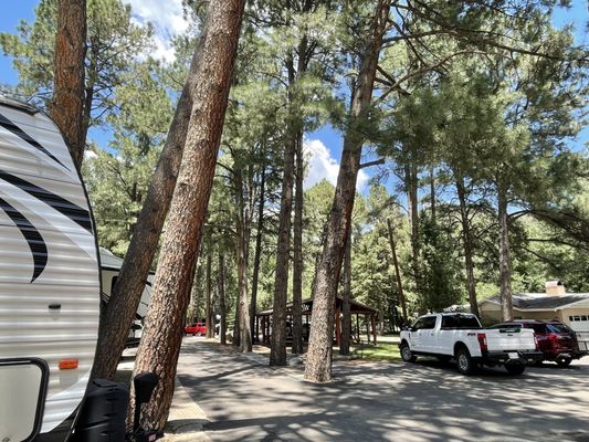 RIVERVIEW RV PARK - Updated August 2025 - 27 Photos - 640 Sudderth Dr ...