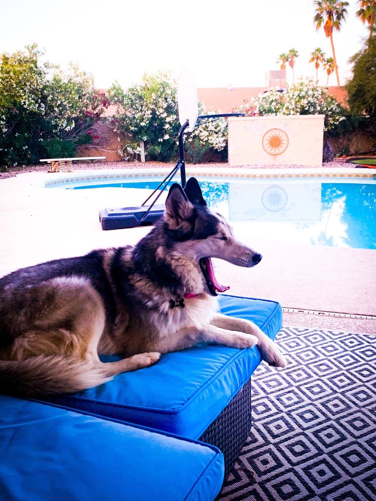 ARIZONA SPLASH POOL SERVICE - Updated July 2025 - 11 Photos - Phoenix ...