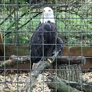 LEHIGH VALLEY ZOO - 76 Photos & 46 Reviews - Zoos - 5150 Game Preserve ...