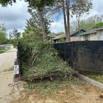 QUALITY TREE SERVICE AND LANDSCAPING - Updated June 2025 - 68 Photos ...