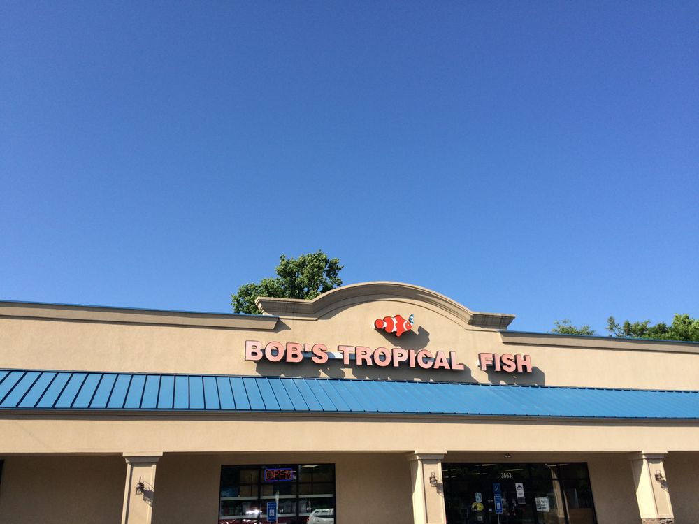 BOB’S TROPICAL FISH - Updated December 2025 - 10 Photos & 20 Reviews ...