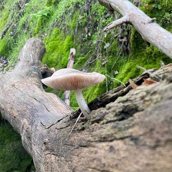 SHELL RIDGE OPEN SPACE - Updated October 2025 - 61 Reviews & 424 Photos ...