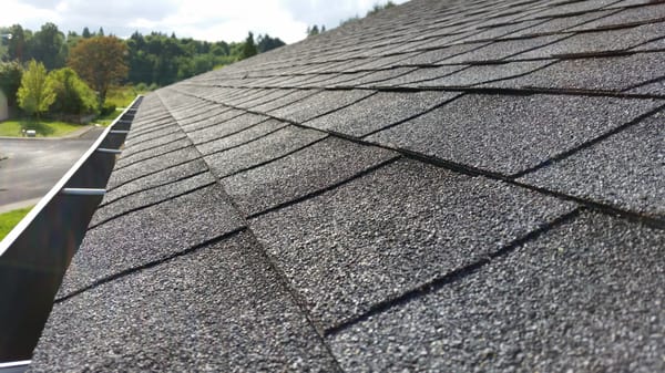 IBEX ROOF - Updated October 2025 - 66 Photos & 53 Reviews - 5800 NE ...