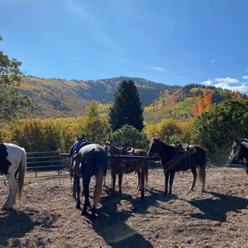 RED PINE ADVENTURES - 76 Photos & 88 Reviews - 2050 W White Pine Canyon ...