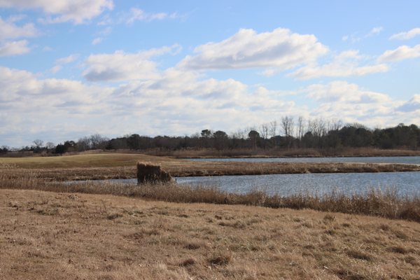 INDIAN ISLAND GOLF COURSE - Updated December 2025 - 11 Photos - 661 ...