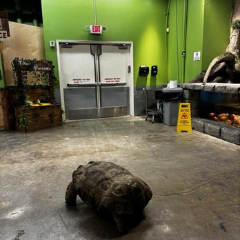 JUNGLE REEF - Updated December 2025 - 29 Photos & 26 Reviews - 750 ...