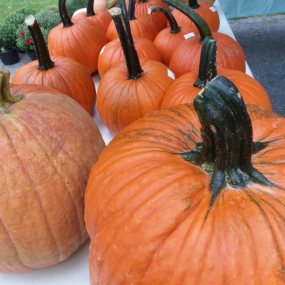 CAROUSEL PARK FARMERS’ MARKET - Updated December 2025 - 3700 Limestone ...