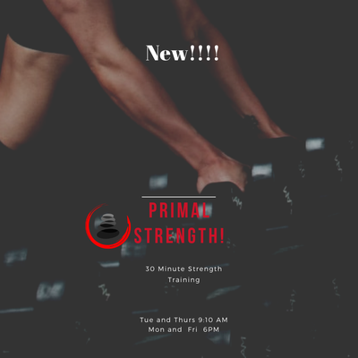 PRIMAL REBOUND STUDIO - Updated July 2025 - 10 Photos - 5660 Clinton St ...