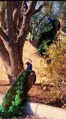 GLENDALE PUBLIC LIBRARY - Updated October 2025 - 89 Photos & 21 Reviews ...