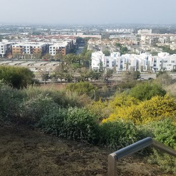 WILLIAM H HANNON LIBRARY - Updated January 2026 - 51 Photos & 41 ...