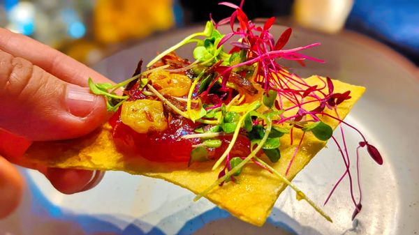 CASA PANTERA - 66 Photos & 41 Reviews - 3015 Pershing Dr, El Paso, TX ...