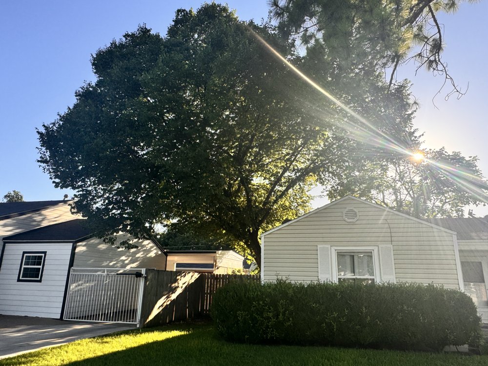 BLAKE DOWNING’S TREE SERVICE - Updated June 2024 - River Oaks, Texas ...