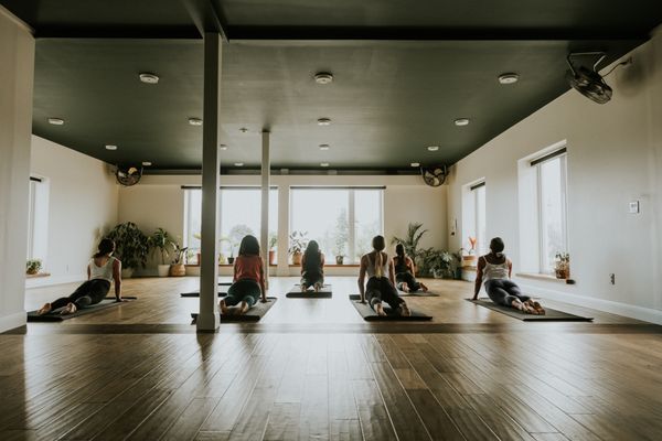 NOOK YOGA - Updated May 2026 - 12 Photos - 119 Dunlop Street E, Barrie ...