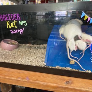 GAISER PETS - 60 Photos & 87 Reviews - 714 Plumas St, Yuba City ...