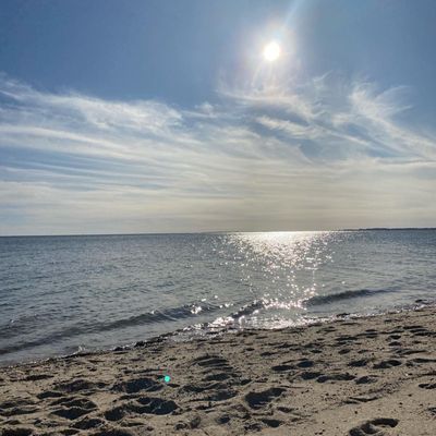 TOP MAST RESORT - Updated September 2024 - 57 Photos & 44 Reviews - 209 ...