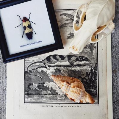 PAXTON GATE - 184 Photos & 158 Reviews - 4204 N Mississippi Ave ...