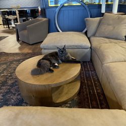 Maine Coon Manor Cat Cafe Gift & Greeting Cards - Email, Text or Print ...