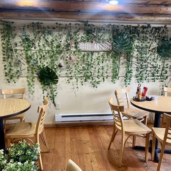 MR BURRO CAFE - Updated May 2025 - 144 Photos & 149 Reviews - 702 Main ...