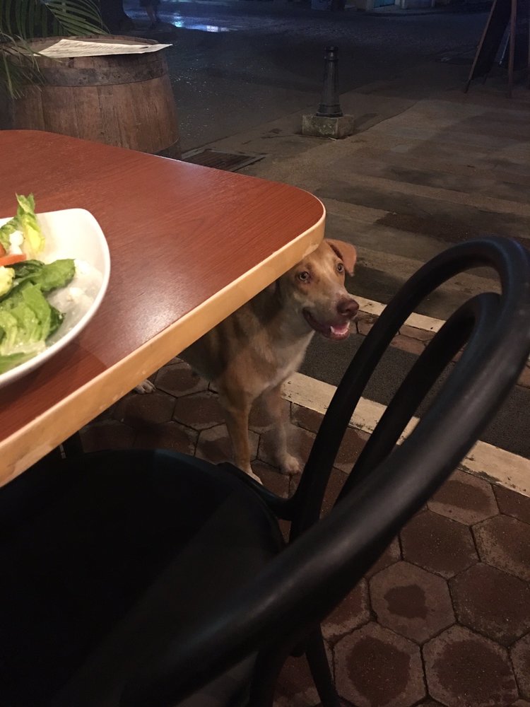 POCO DELI - Updated April 2024 - 12 Photos - Calle Real Street, Coron ...